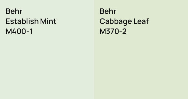 Behr Establish Mint vs. Behr Cabbage Leaf comparison