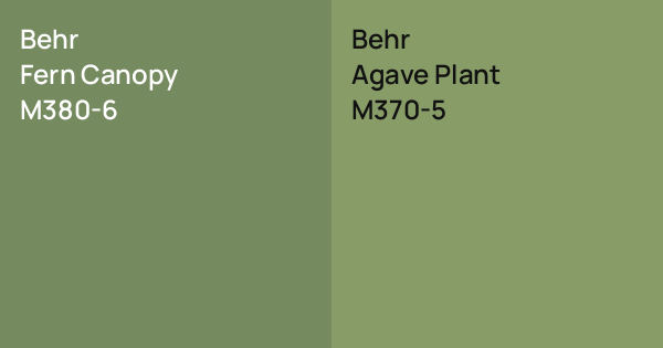 Behr Fern Canopy vs. Behr Agave Plant comparison
