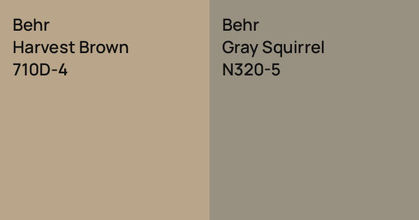 Behr Harvest Brown vs. Behr Gray Squirrel comparison