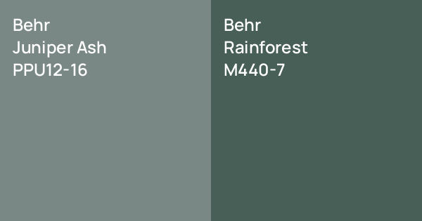 Behr Juniper Ash vs. Behr Rainforest comparison