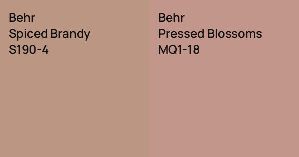 Behr Spiced Brandy vs. Behr Pressed Blossoms comparison