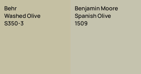 Behr Washed Olive vs. Benjamin Moore Spanish Olive comparison