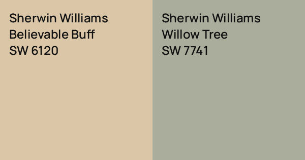 Sherwin Williams Believable Buff vs. Sherwin Williams Willow Tree ...