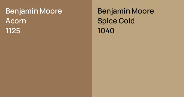 Benjamin Moore Acorn vs. Benjamin Moore Spice Gold comparison