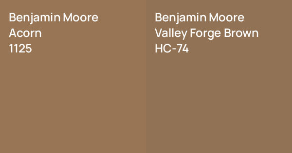 Benjamin Moore Acorn vs. Benjamin Moore Valley Forge Brown comparison