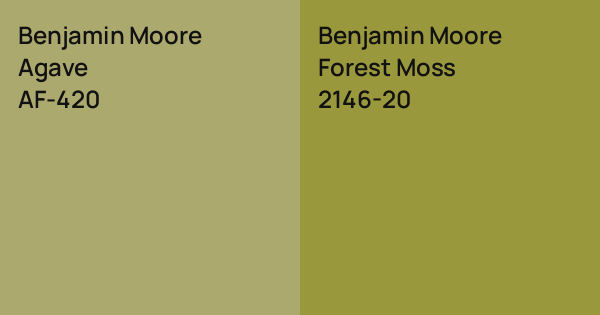 Benjamin Moore Agave vs. Benjamin Moore Forest Moss comparison