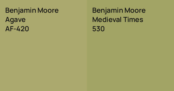 Benjamin Moore Agave vs. Benjamin Moore Medieval Times comparison