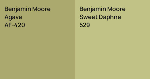 Benjamin Moore Agave vs. Benjamin Moore Sweet Daphne comparison