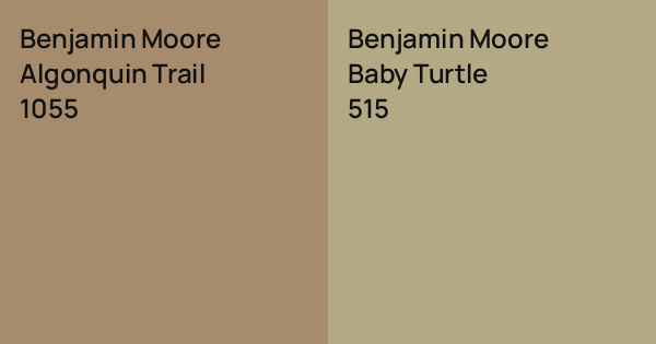 Benjamin Moore Algonquin Trail vs. Benjamin Moore Baby Turtle comparison