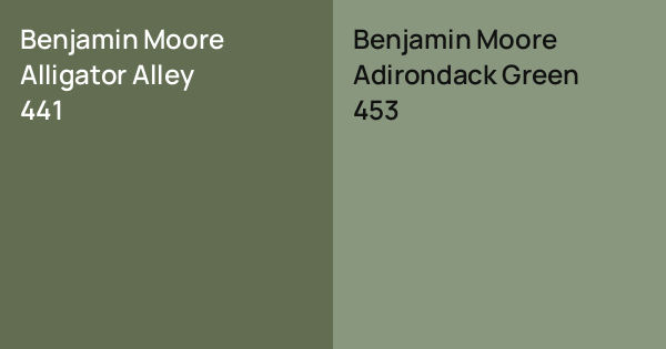 Benjamin Moore Alligator Alley vs. Benjamin Moore Adirondack Green ...