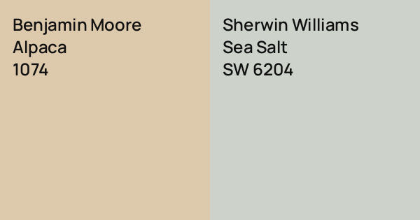 Benjamin Moore Alpaca vs. Sherwin Williams Sea Salt comparison