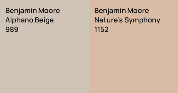 Benjamin Moore Alphano Beige vs. Benjamin Moore Nature's Symphony ...