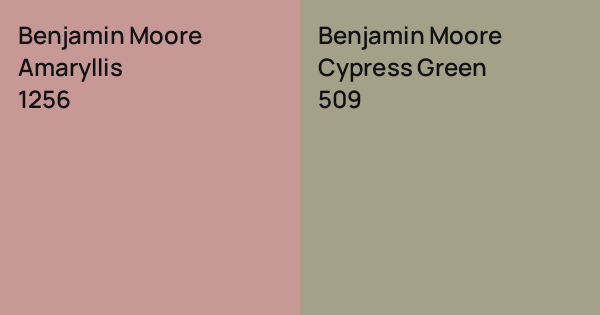 Benjamin Moore Amaryllis vs. Benjamin Moore Cypress Green comparison