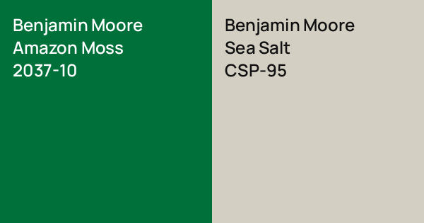 Benjamin Moore Amazon Moss vs. Benjamin Moore Sea Salt comparison