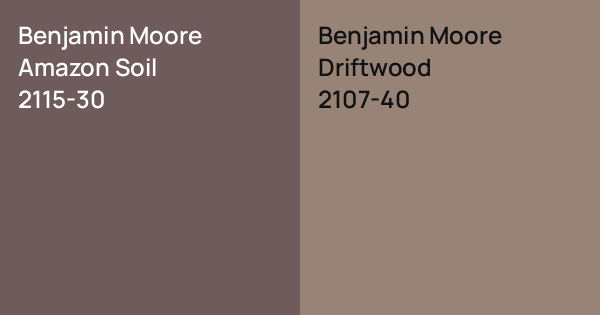 Benjamin Moore Amazon Soil vs. Benjamin Moore Driftwood comparison