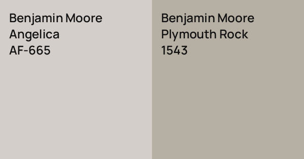 Benjamin Moore Angelica vs. Benjamin Moore Plymouth Rock comparison