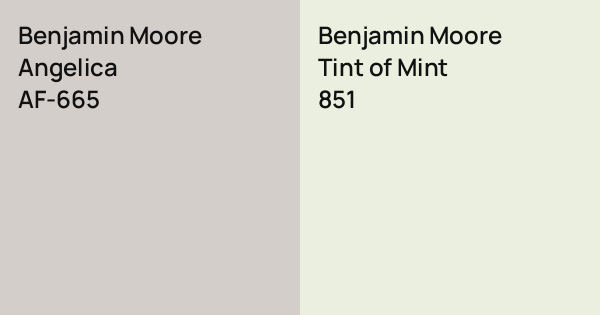 Benjamin Moore Angelica vs. Benjamin Moore Tint of Mint comparison