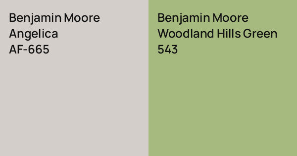 Benjamin Moore Angelica vs. Benjamin Moore Woodland Hills Green comparison