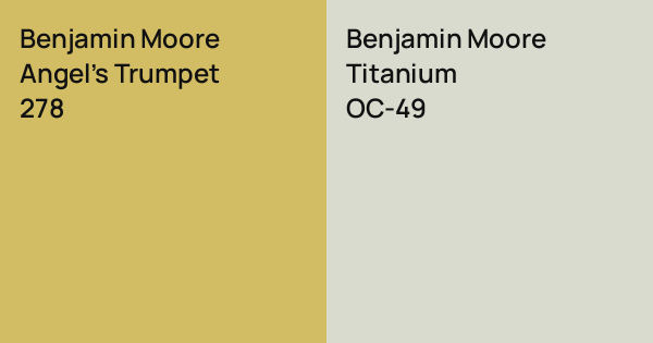 Benjamin Moore Angel's Trumpet vs. Benjamin Moore Titanium comparison