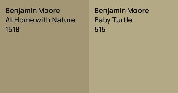 Benjamin Moore At Home with Nature vs. Benjamin Moore Baby Turtle ...