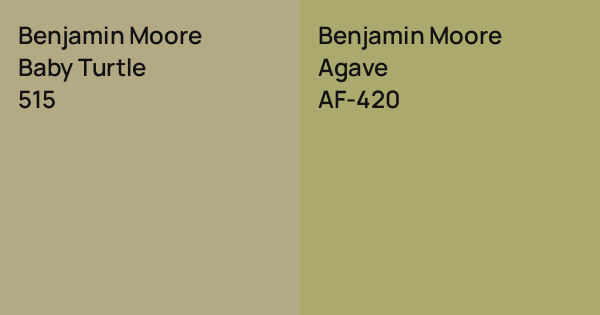 Benjamin Moore Baby Turtle vs. Benjamin Moore Agave comparison