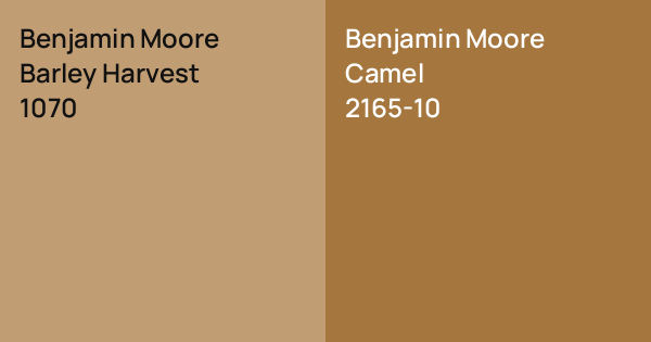 Benjamin Moore Barley Harvest vs. Benjamin Moore Camel comparison