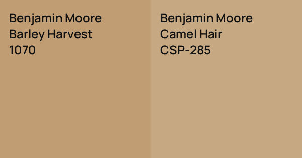 Benjamin Moore Barley Harvest vs. Benjamin Moore Camel Hair comparison