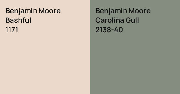 Benjamin Moore Bashful vs. Benjamin Moore Carolina Gull comparison