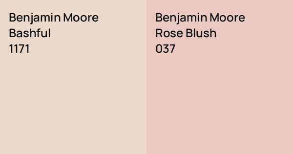 Benjamin Moore Bashful vs. Benjamin Moore Rose Blush comparison