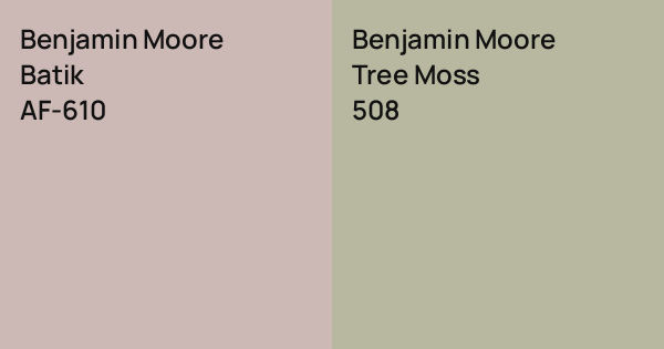 Benjamin Moore Batik vs. Benjamin Moore Tree Moss comparison