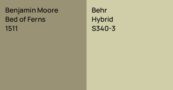 Benjamin Moore Bed of Ferns vs. Behr Hybrid comparison
