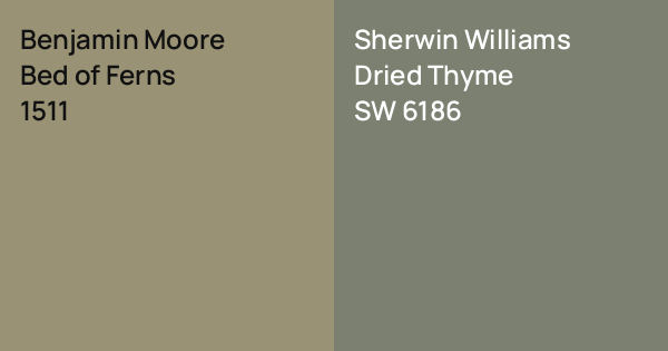 Benjamin Moore Bed of Ferns vs. Sherwin Williams Dried Thyme comparison