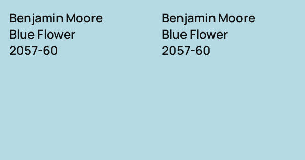 Benjamin Moore Blue Flower vs. Benjamin Moore Blue Flower comparison