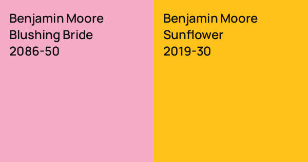 Benjamin Moore Blushing Bride vs. Benjamin Moore Sunflower comparison