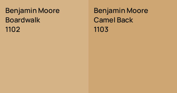 Benjamin Moore Boardwalk vs. Benjamin Moore Camel Back comparison