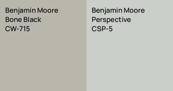 Benjamin Moore Bone Black vs. Benjamin Moore Perspective comparison