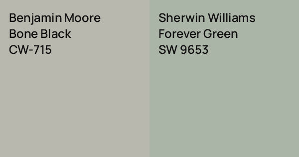 Benjamin Moore Bone Black vs. Sherwin Williams Forever Green comparison