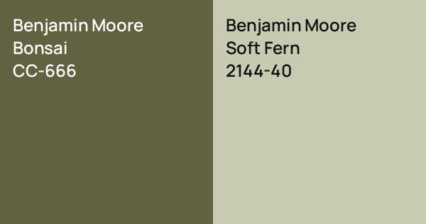 Benjamin Moore Bonsai vs. Benjamin Moore Soft Fern comparison