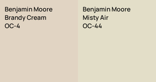 Benjamin Moore Brandy Cream vs. Benjamin Moore Misty Air comparison