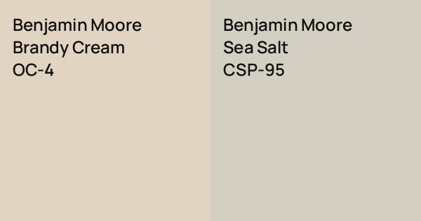 Benjamin Moore Brandy Cream vs. Benjamin Moore Sea Salt comparison