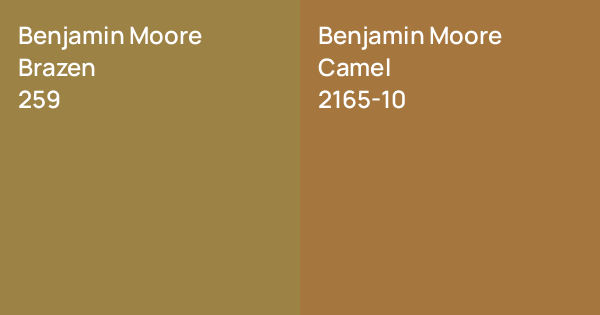 Benjamin Moore Brazen vs. Benjamin Moore Camel comparison