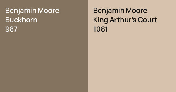 Benjamin Moore Buckhorn vs. Benjamin Moore King Arthur's Court comparison