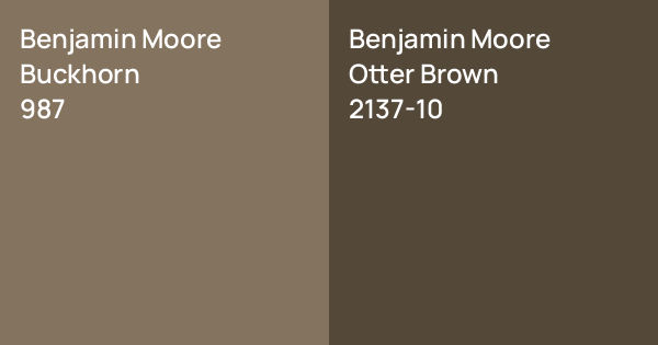Benjamin Moore Buckhorn vs. Benjamin Moore Otter Brown comparison