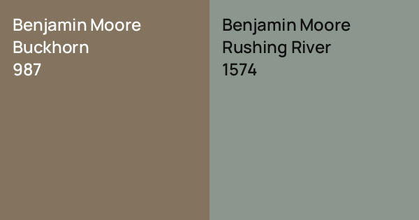 Benjamin Moore Buckhorn vs. Benjamin Moore Rushing River comparison