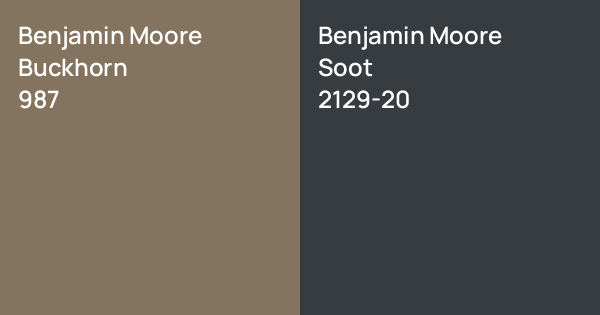 Benjamin Moore Buckhorn vs. Benjamin Moore Soot comparison