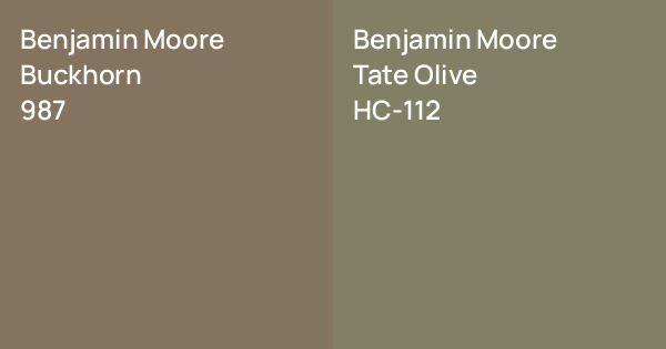 Benjamin Moore Buckhorn vs. Benjamin Moore Tate Olive comparison
