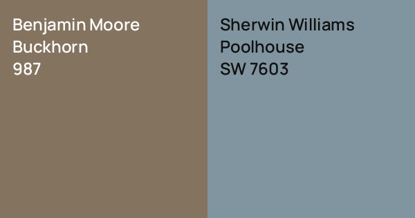 Benjamin Moore Buckhorn vs. Sherwin Williams Poolhouse comparison