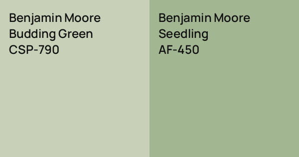 Benjamin Moore Budding Green vs. Benjamin Moore Seedling comparison