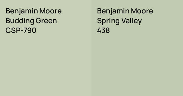 Benjamin Moore Budding Green vs. Benjamin Moore Spring Valley comparison