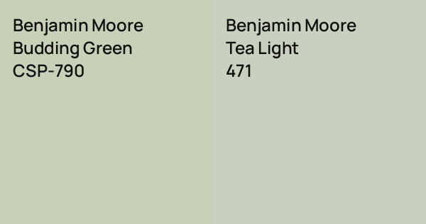 Benjamin Moore Budding Green vs. Benjamin Moore Tea Light comparison